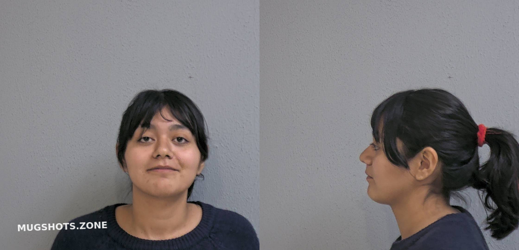 NAVARRO ANGELIQUE 05/16/2024 - Hidalgo County Mugshots Zone