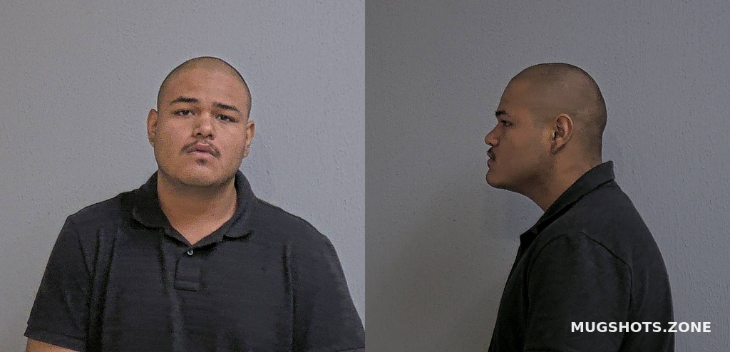 GALLEGOS OSCAR LUIS ARREGUIN 06/06/2024 - Hidalgo County Mugshots Zone