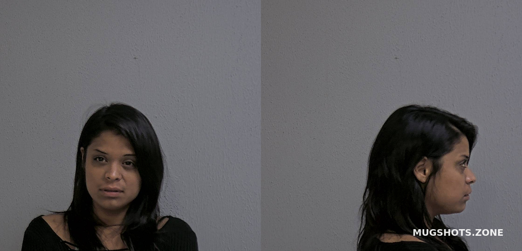 GARZEZ JULIANNA RENEE 06/06/2024 - Hidalgo County Mugshots Zone