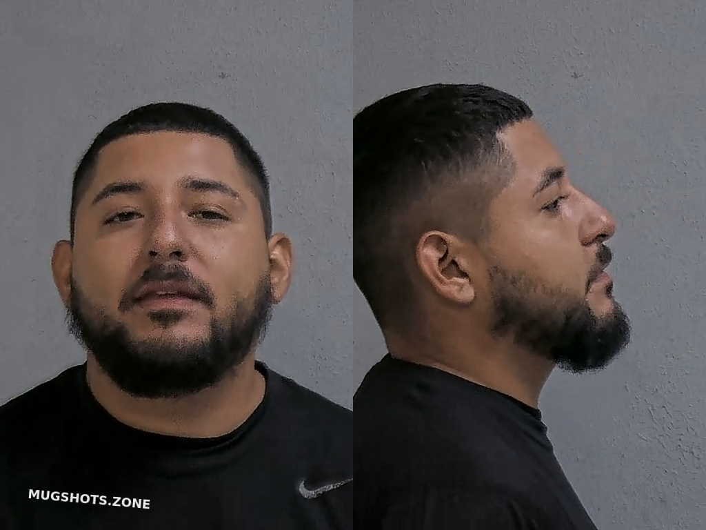 MORALES DAVID JR. 06/13/2024 - Hidalgo County Mugshots Zone