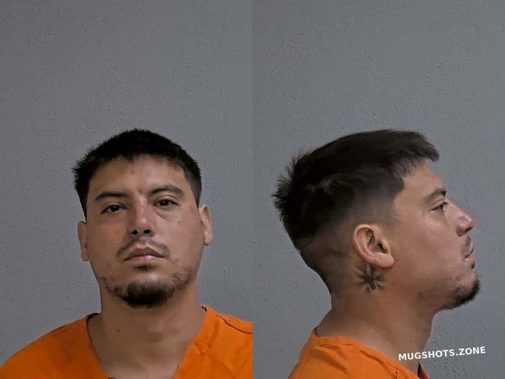 Almeida Luis Angel 06182024 Hidalgo County Mugshots Zone