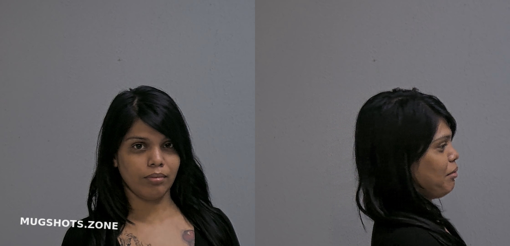 CASTILLO AILLEEN 06/23/2024 - Hidalgo County Mugshots Zone