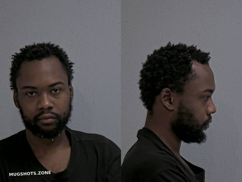 FOSTER GABRIEL FONTAINE 06/25/2024 - Hidalgo County Mugshots Zone