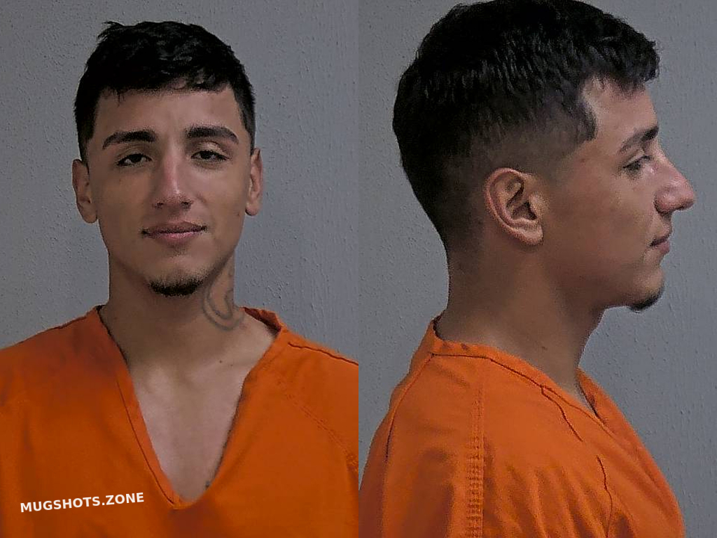 DELUNA ADRIAN DAMIAN 06/26/2024 - Hidalgo County Mugshots Zone