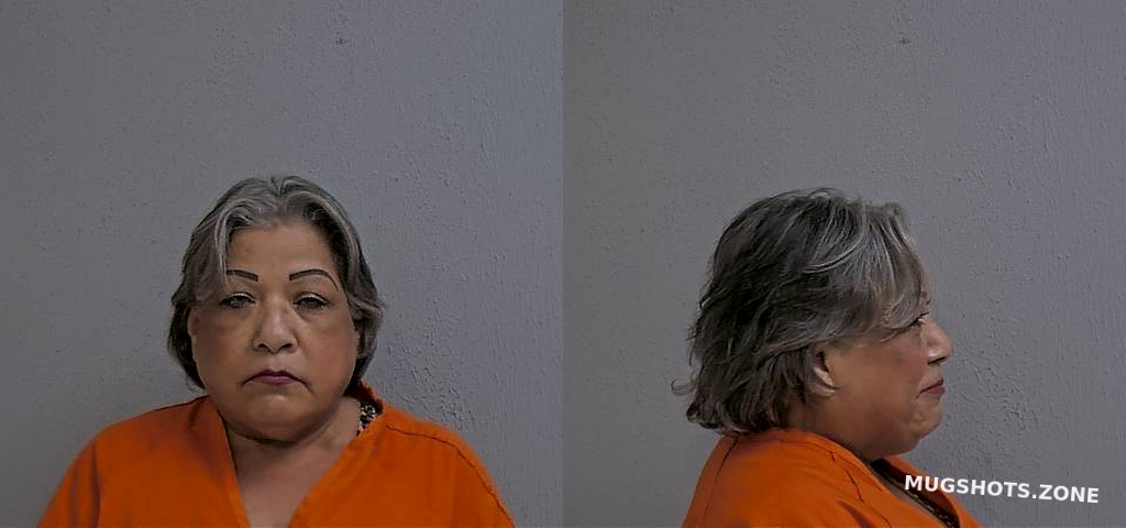 FOLEY VIRGINIA 06/28/2024 - Hidalgo County Mugshots Zone