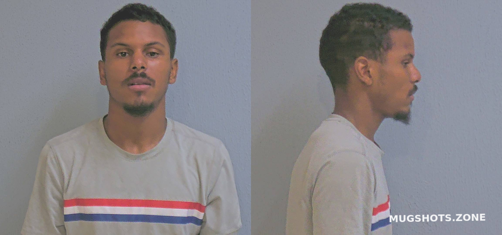 GAMEZ ALEXANDER LEE 07/17/2024 - Hidalgo County Mugshots Zone
