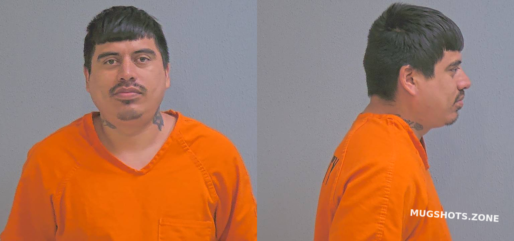 VEGA EDGAR CLEMENTE 07/26/2024 - Hidalgo County Mugshots Zone