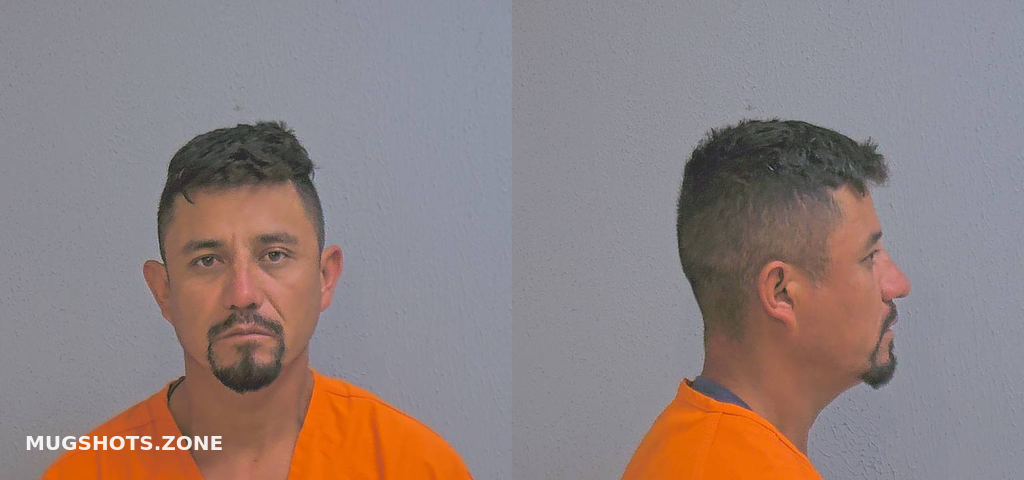 HERNANDEZ ROMAN 07/28/2024 - Hidalgo County Mugshots Zone