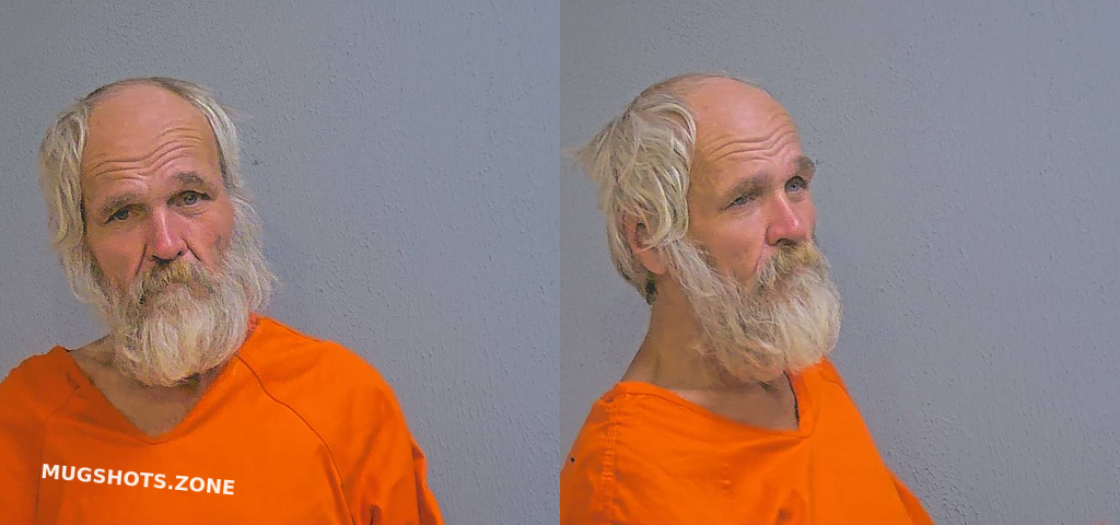 DAVIDSON DANNY WILSON 08/03/2024 - Hidalgo County Mugshots Zone