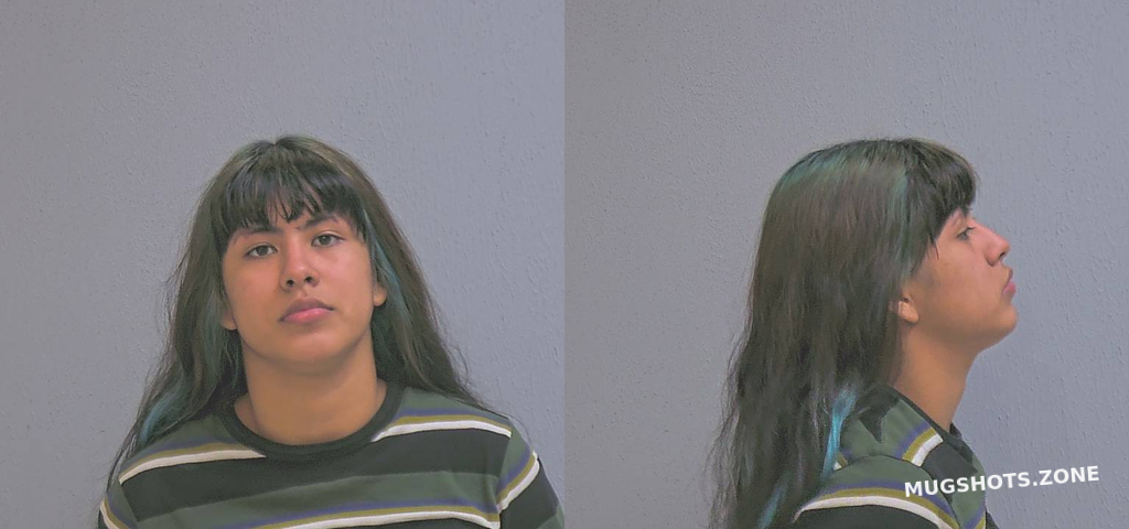 HERNANDEZ APRIL 08/04/2024 - Hidalgo County Mugshots Zone