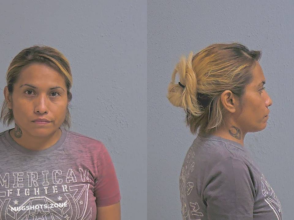 LUNA MARICELA DIAZ 08/15/2024 - Hidalgo County Mugshots Zone