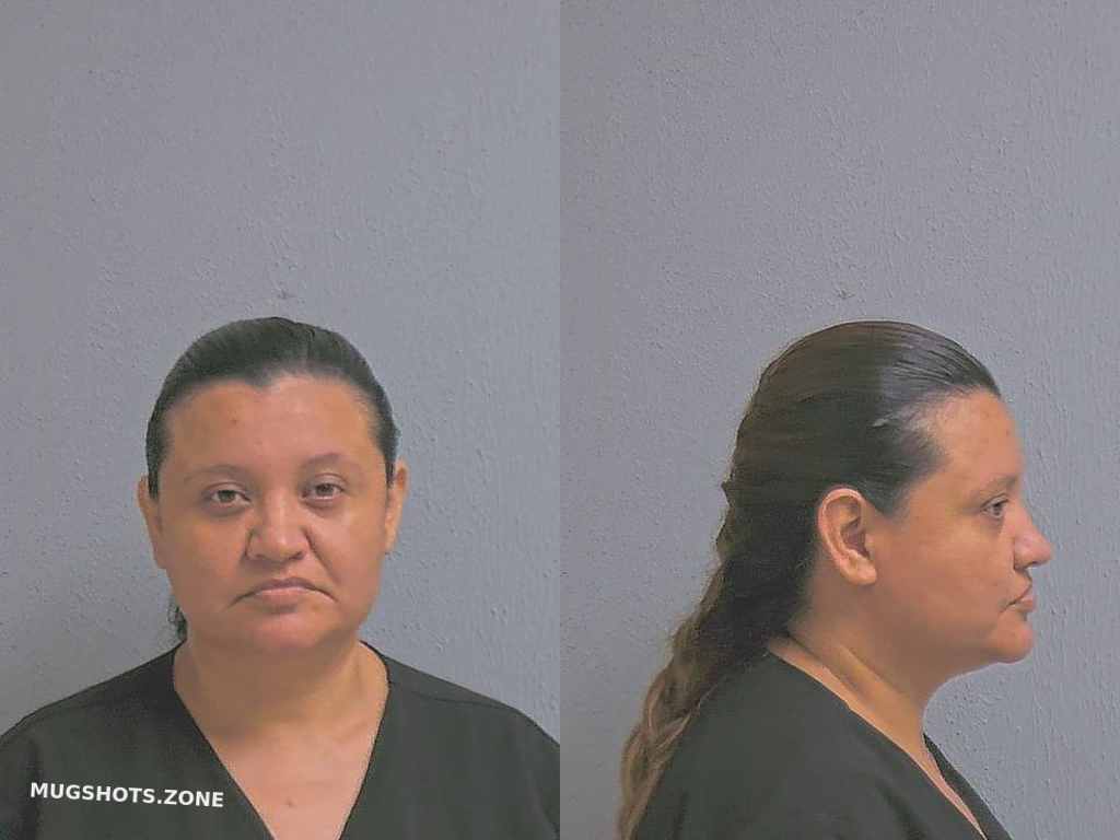 JAUREGUI EDNA KARINA 08/20/2024 - Hidalgo County Mugshots Zone
