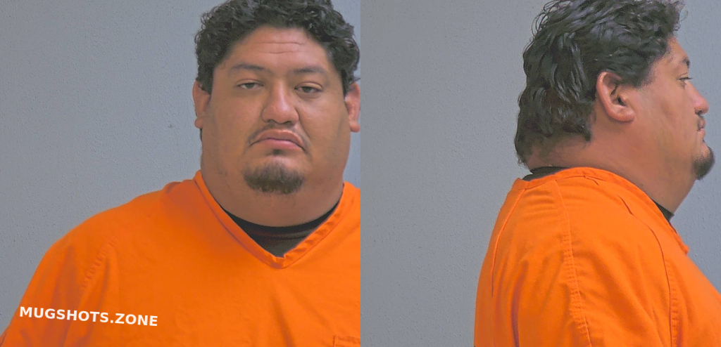 FRAUSTO RAY RENEE 09/06/2024 - Hidalgo County Mugshots Zone