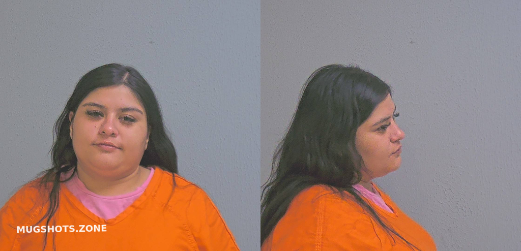 ALVAREZ DAISY GUADALUPE 09/10/2024 - Hidalgo County Mugshots Zone