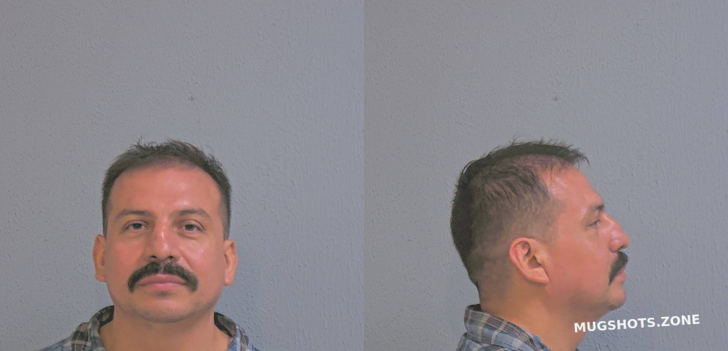 LOSOYA JESUS PEDRO 09/17/2024 - Hidalgo County Mugshots Zone