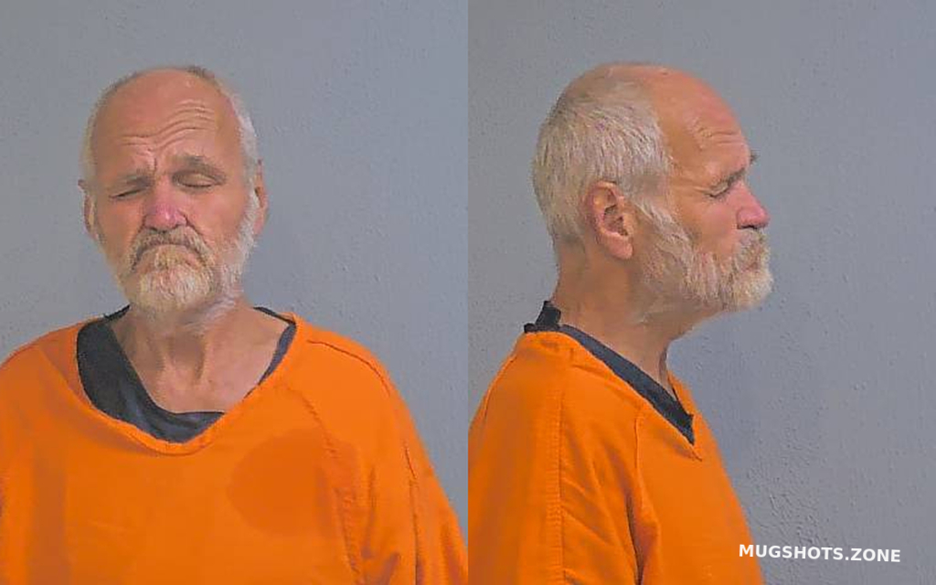 DAVIDSON DANNY WILSON 10/10/2024 - Hidalgo County Mugshots Zone