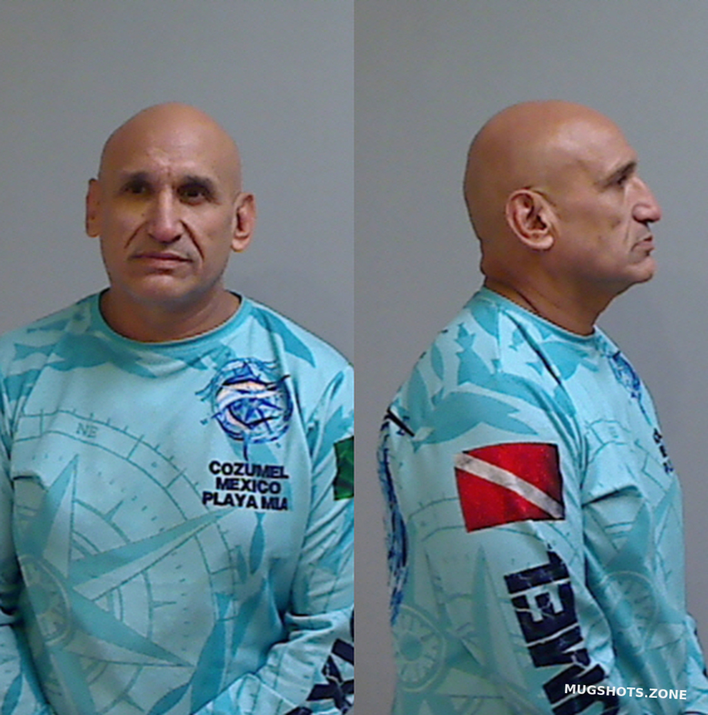 ALANIZ ALEJANDRO VEGA 10/24/2024 - Hidalgo County Mugshots Zone