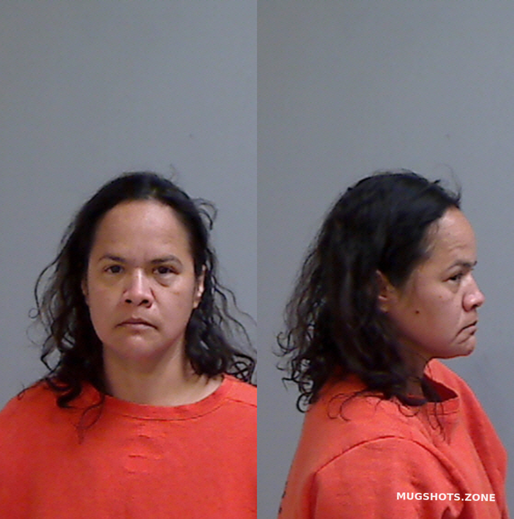 ROBLEDO CLAUDIA 10/25/2024 - Hidalgo County Mugshots Zone