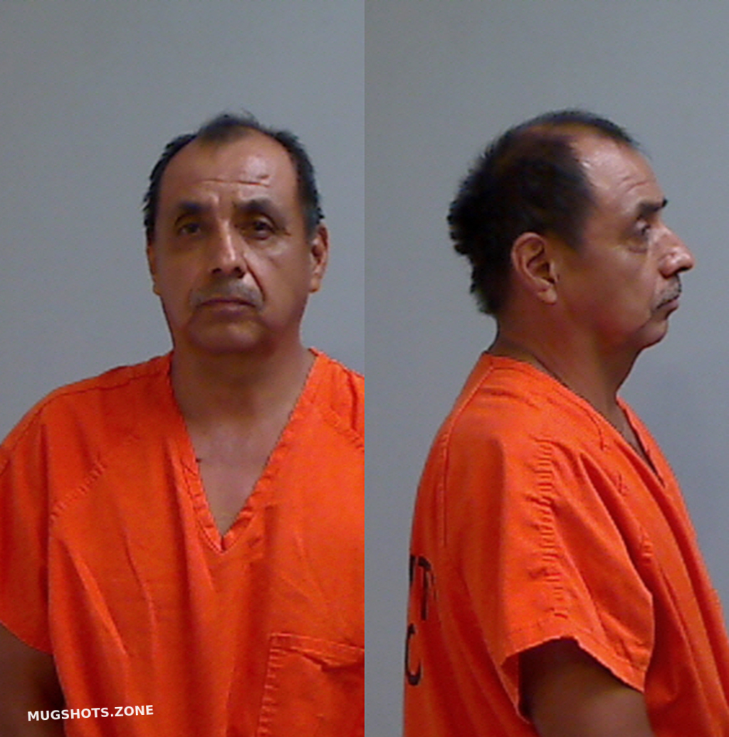 GARCIA DAVID LUGO 10/25/2024 - Hidalgo County Mugshots Zone