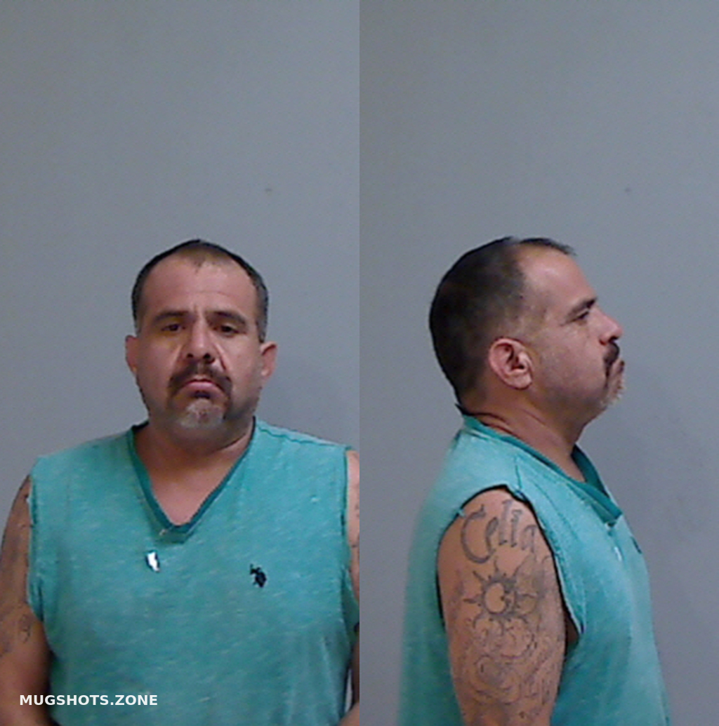 GALVAN EFRAIN 10/25/2024 - Hidalgo County Mugshots Zone