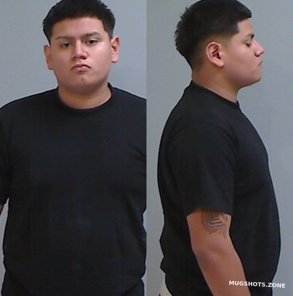 DELGADO AXEL 10/27/2024 - Hidalgo County Mugshots Zone