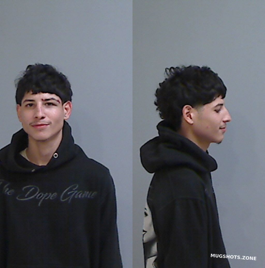 SERNA RAY 11/01/2024 - Hidalgo County Mugshots Zone