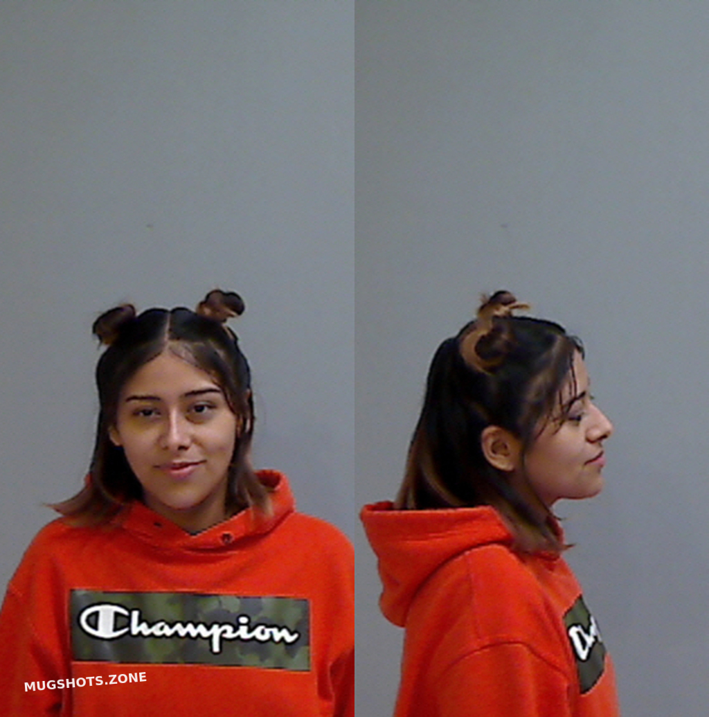 RAMIREZ ROSE MARY 11/01/2024 - Hidalgo County Mugshots Zone