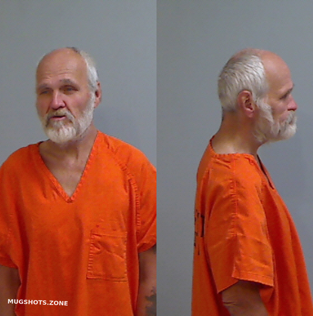 DAVIDSON DANNY WILSON 11/03/2024 - Hidalgo County Mugshots Zone