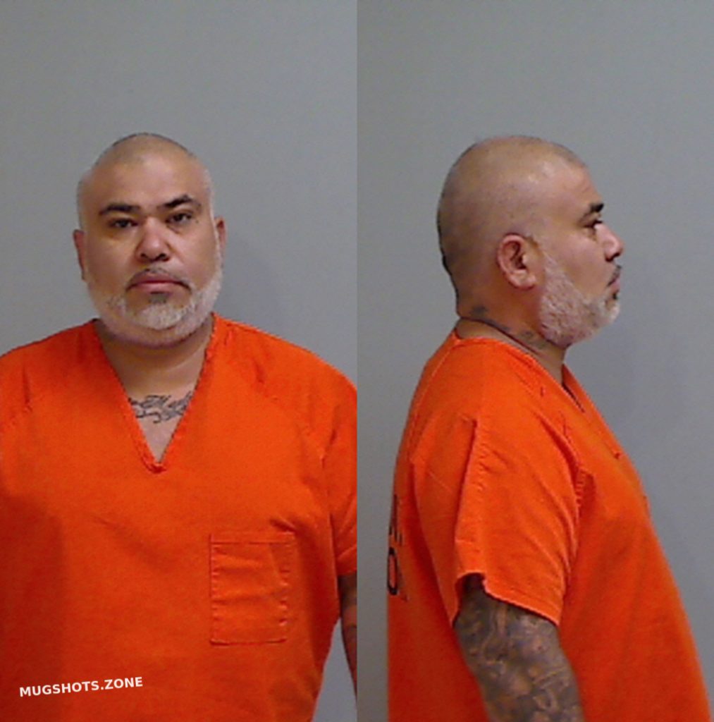 ESQUIVEL DAVID 11/08/2024 - Hidalgo County Mugshots Zone