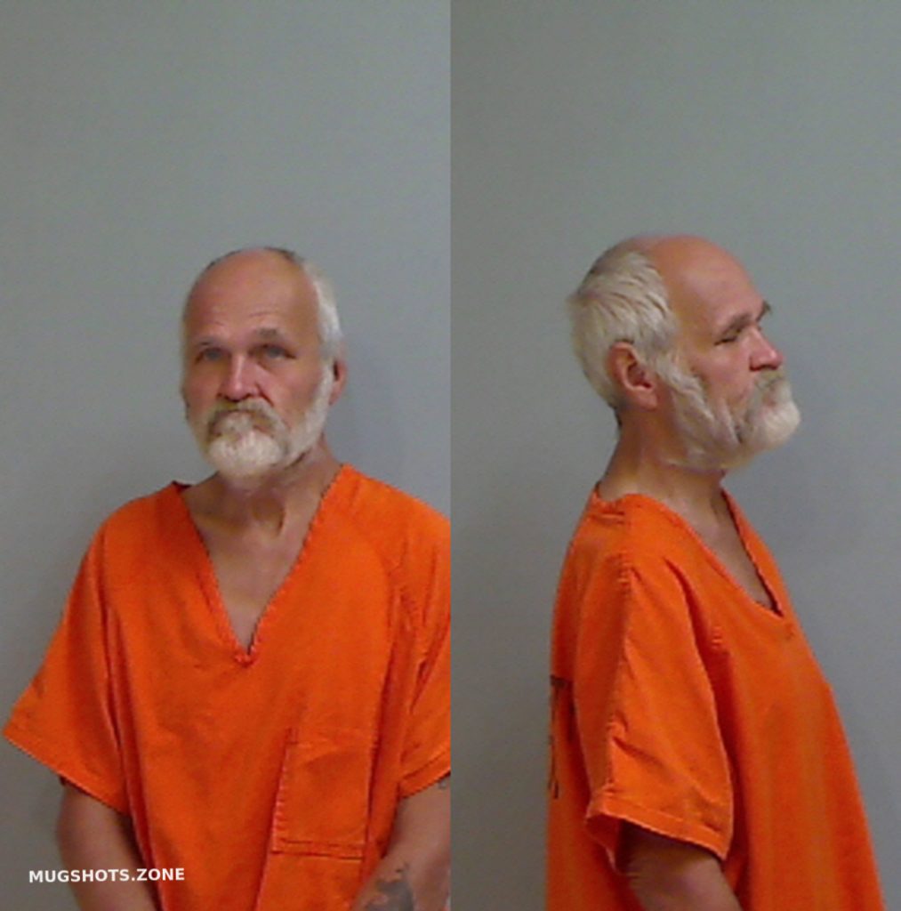 DAVIDSON DANNY WILSON 11/13/2024 - Hidalgo County Mugshots Zone