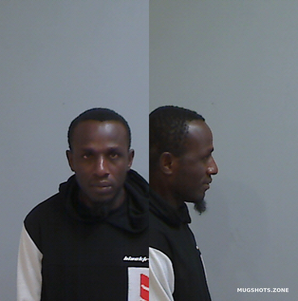 ROMAIN JEAN 11/14/2024 - Hidalgo County Mugshots Zone