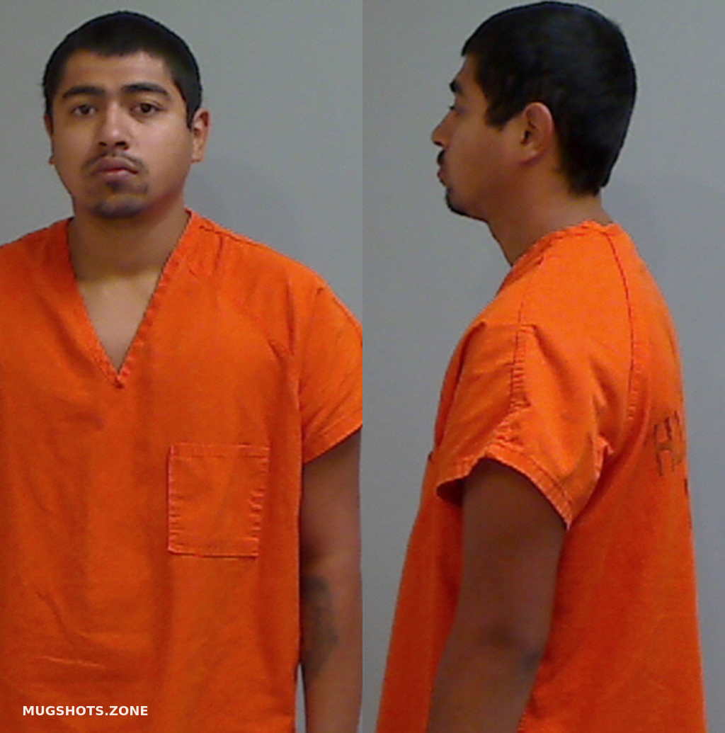 NAVARRO CHRISTOPHER LEONEL 11/23/2024 - Hidalgo County Mugshots Zone