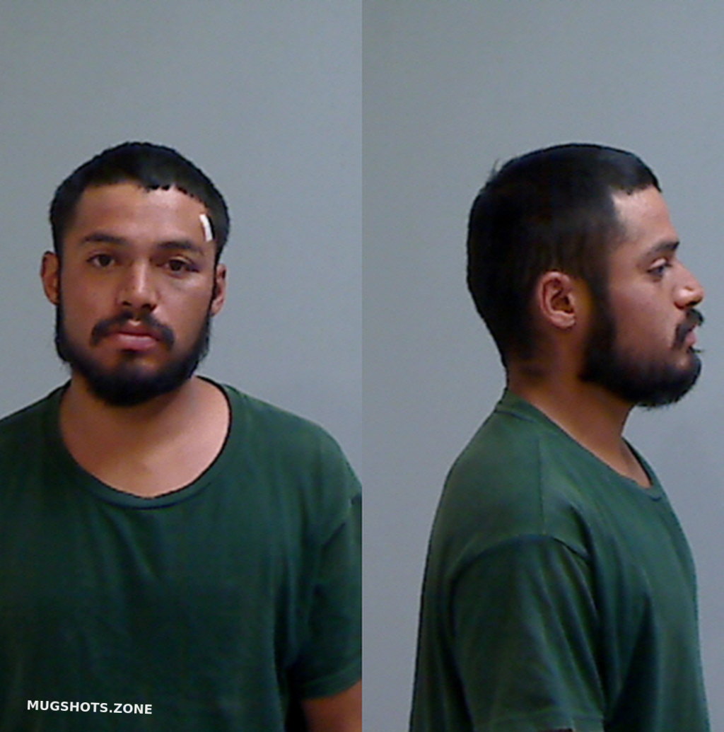 HERNANDEZ DAVID BEN 11/28/2024 - Hidalgo County Mugshots Zone