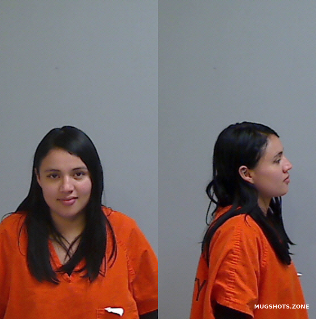 SOLIS CELIA 12/10/2024 - Hidalgo County Mugshots Zone