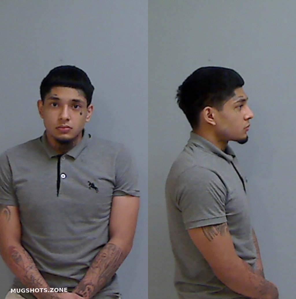 REYNA ISMAEL ANGEL 12/13/2024 - Hidalgo County Mugshots Zone