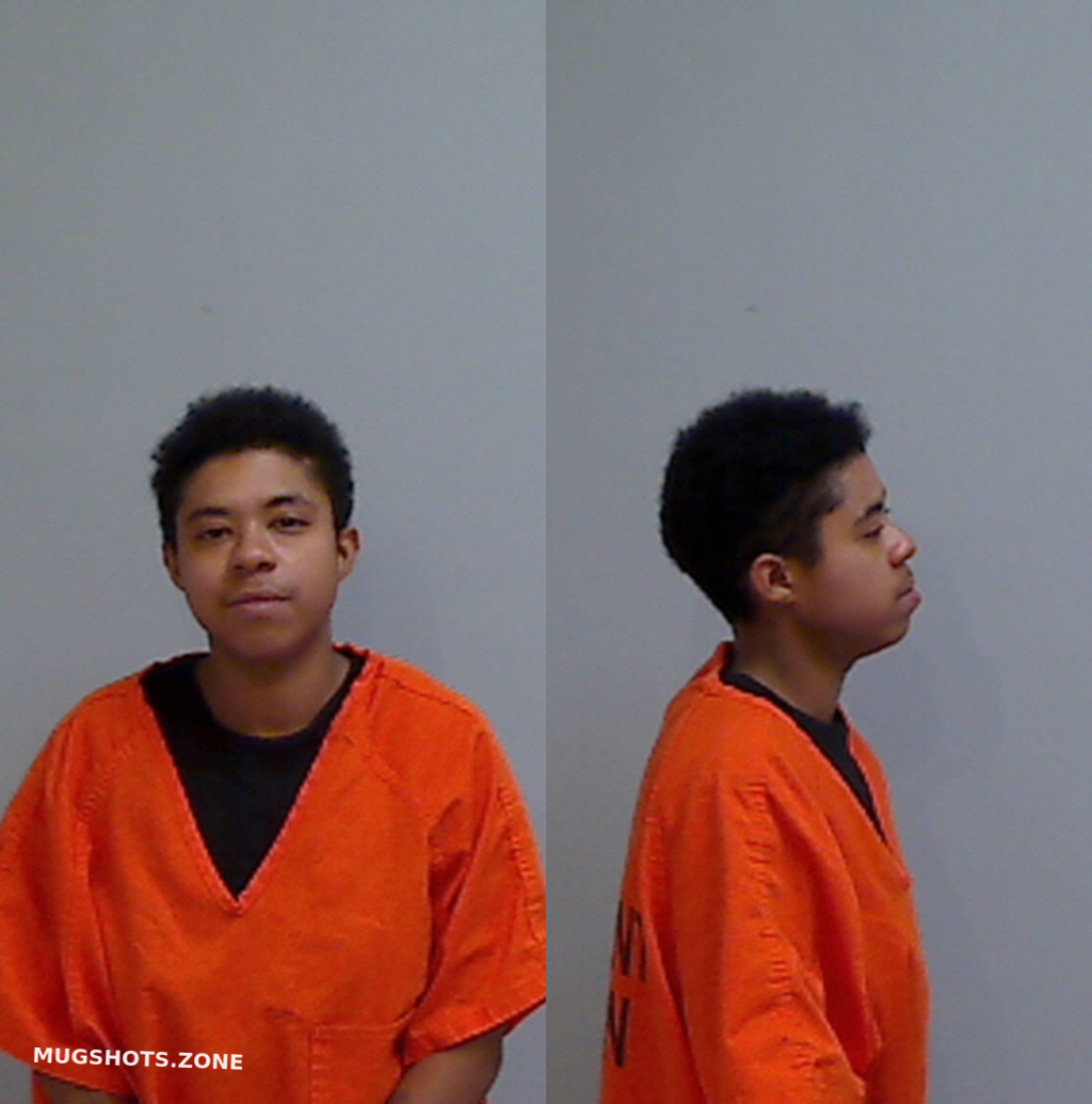 DUNCAN JAMIKA VANAE 12/14/2024 - Hidalgo County Mugshots Zone