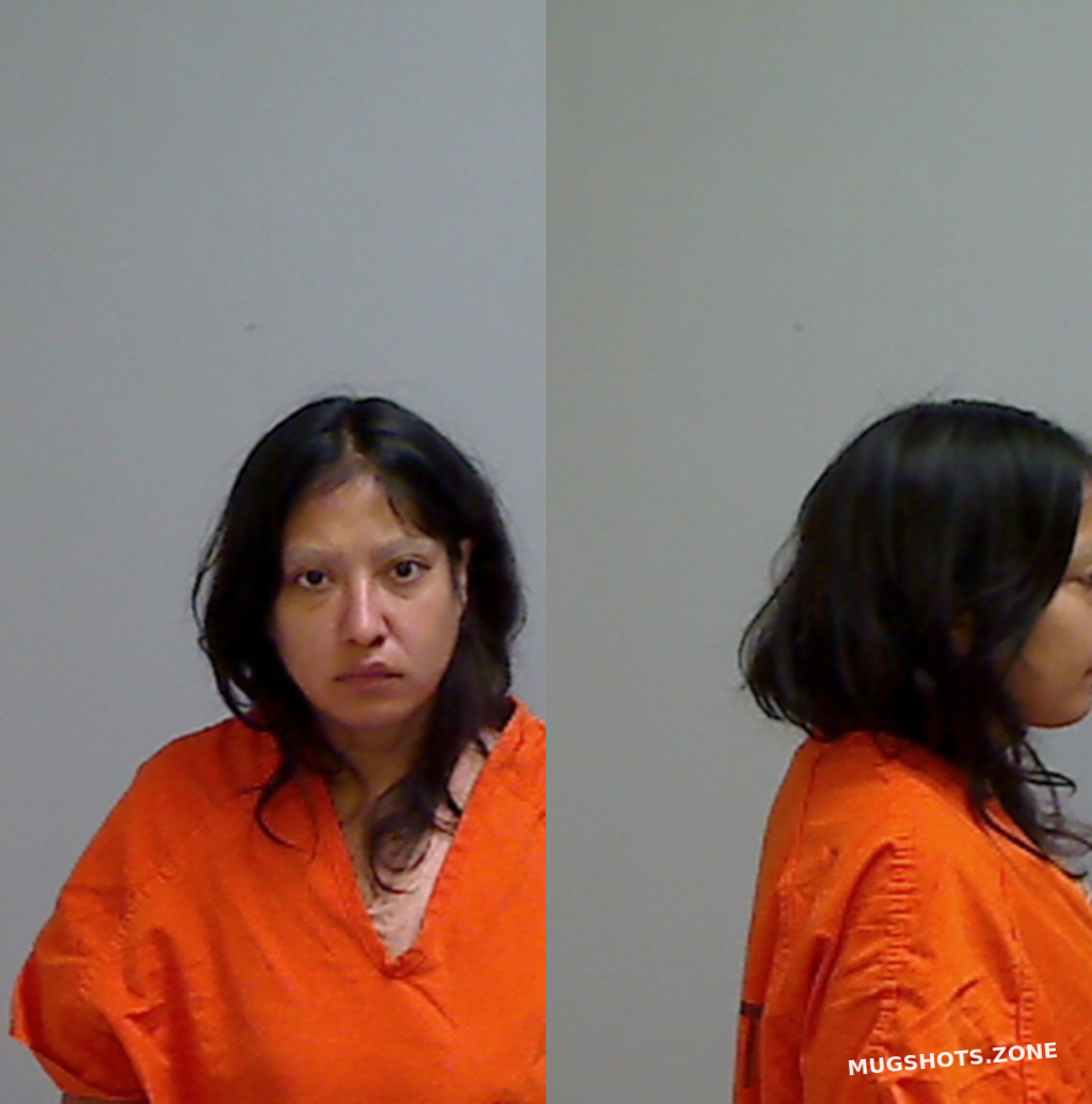 PINEDA CASSANDRA MARIE 12/30/2024 - Hidalgo County Mugshots Zone