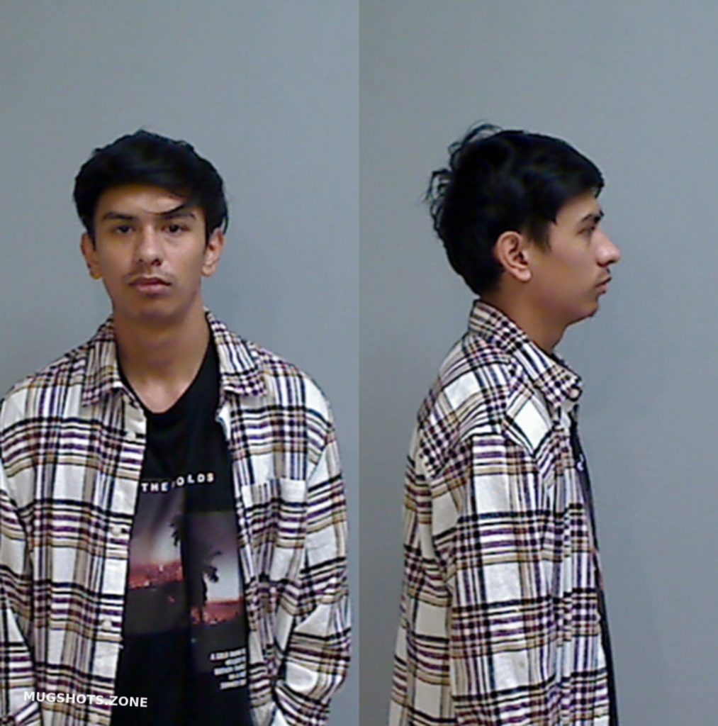 ALEJO DIEGO JOEL 01/01/2025 - Hidalgo County Mugshots Zone