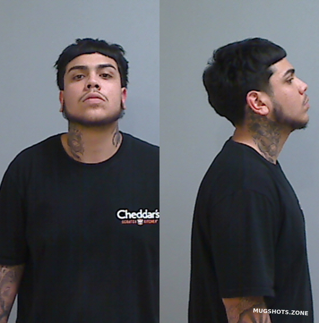 ROMAN HUGO ALBERTO JR. 01/03/2025 - Hidalgo County Mugshots Zone