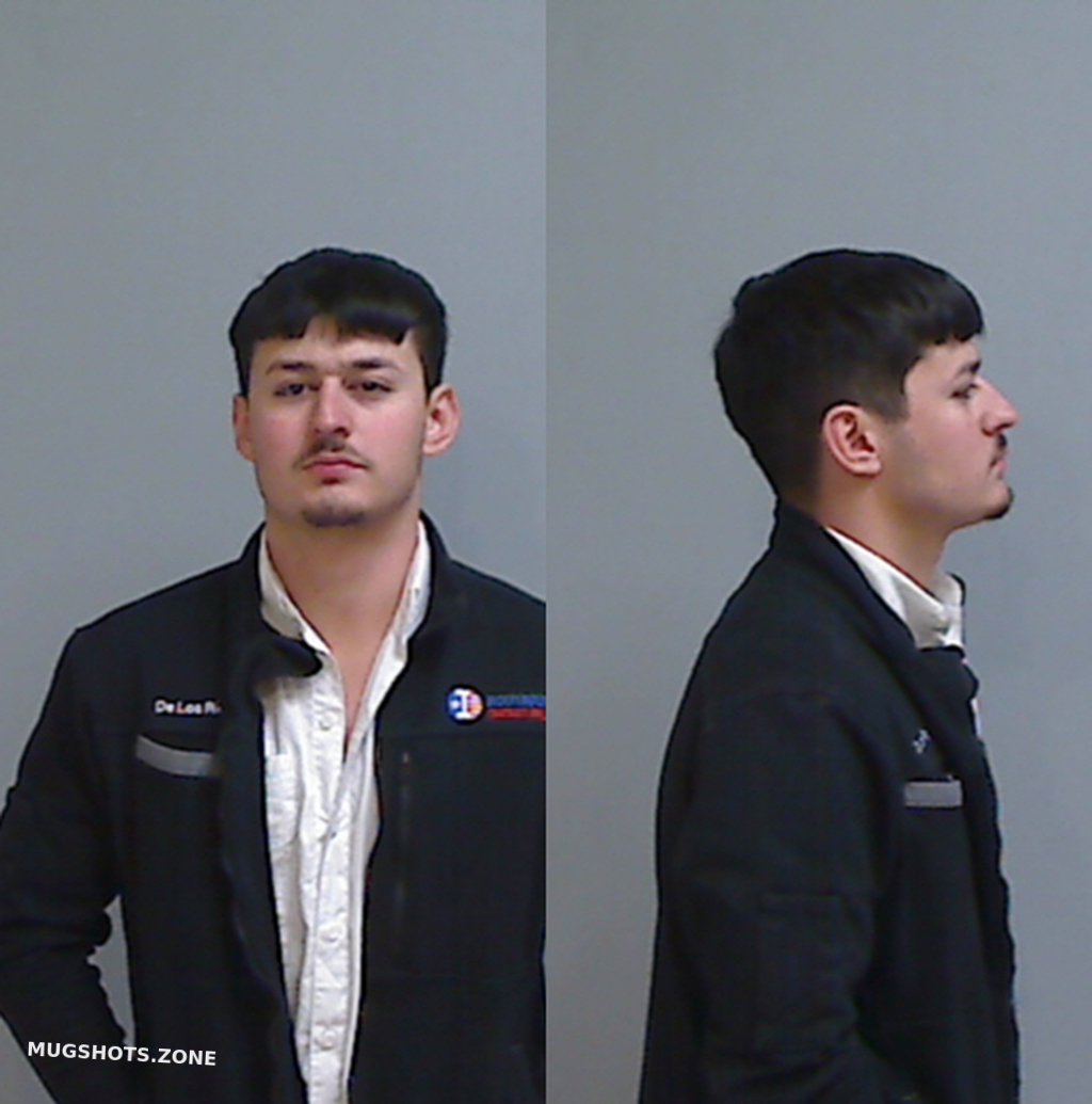 DE LOS RIOS EDUARDO RENE 01/04/2025 - Hidalgo County Mugshots Zone