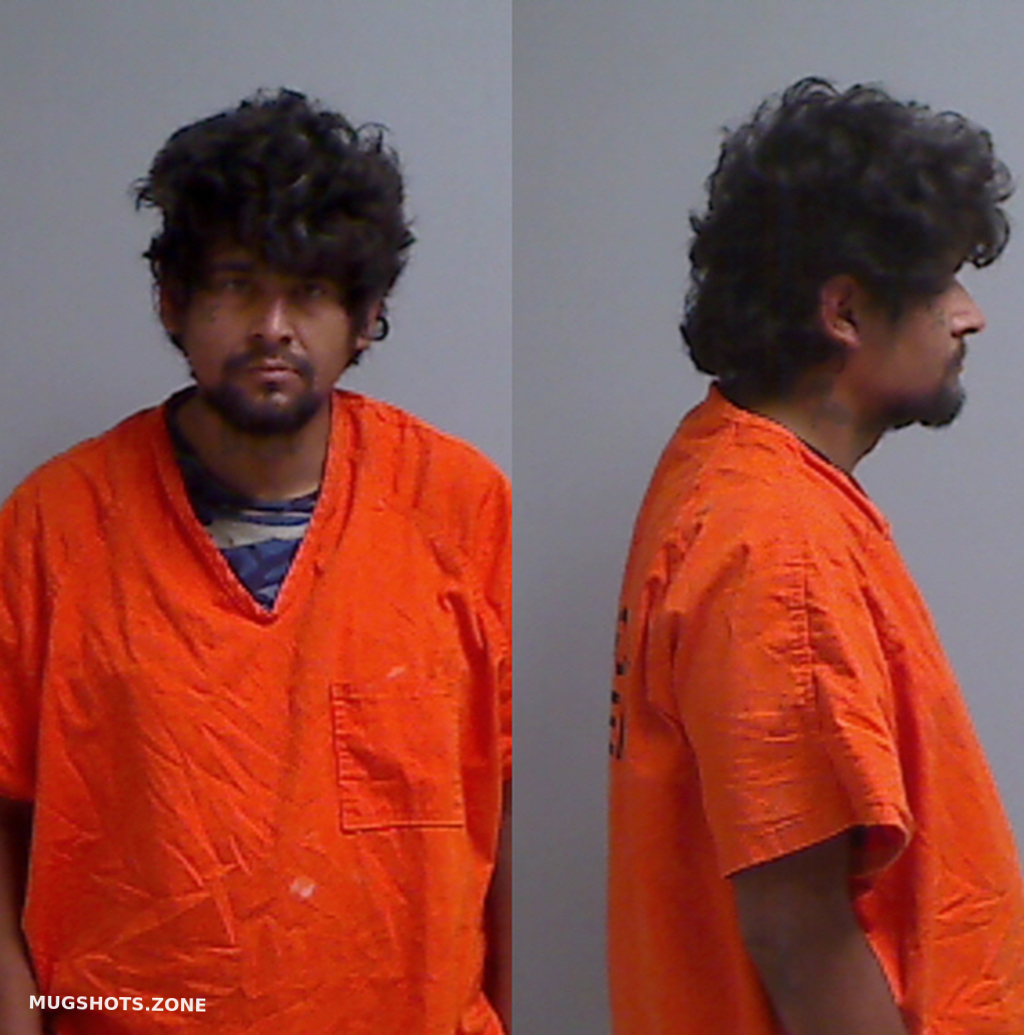 BEJARANO MICHAEL STEVE 01/05/2025 - Hidalgo County Mugshots Zone