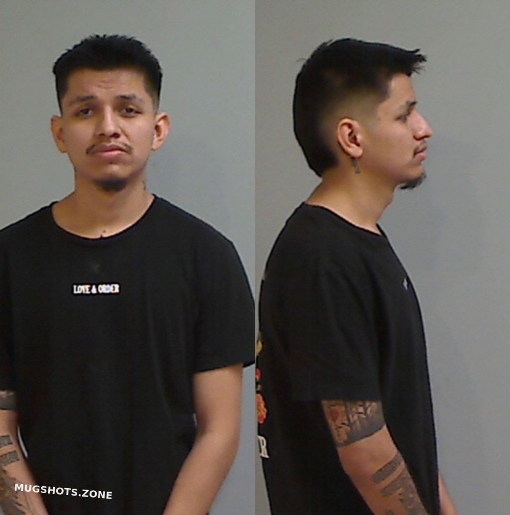 CALVO DANIEL ELIAS 01/16/2025 - Hidalgo County Mugshots Zone