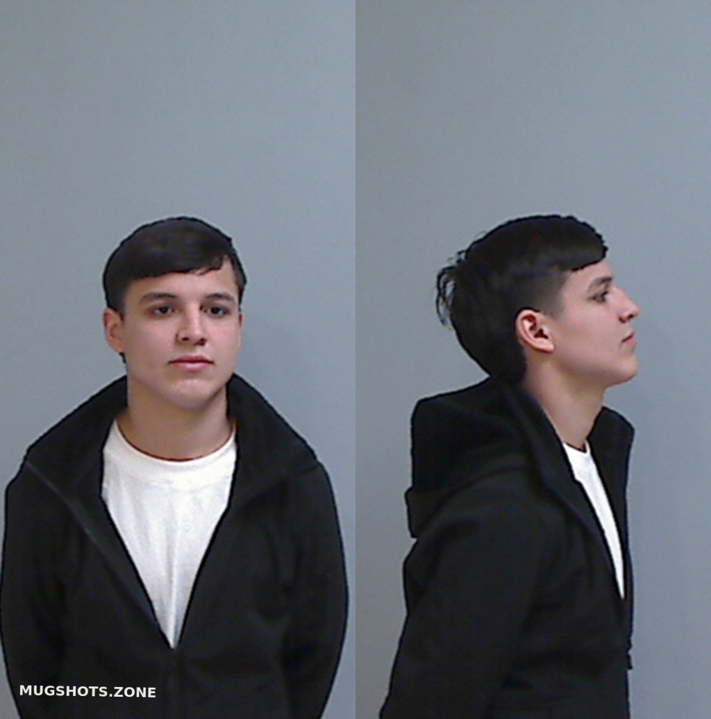 MEZA DANIEL DEMIAN 01/19/2025 - Hidalgo County Mugshots Zone