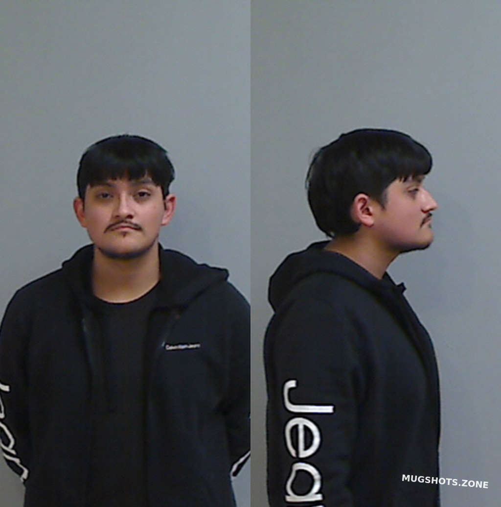 HERRERA LUIS FERNANDO 01/20/2025 - Hidalgo County Mugshots Zone