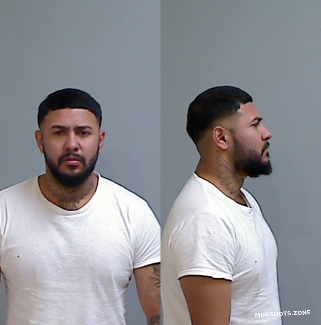 TREJO ALFREDO ALBERTO 01/25/2025 - Hidalgo County Mugshots Zone