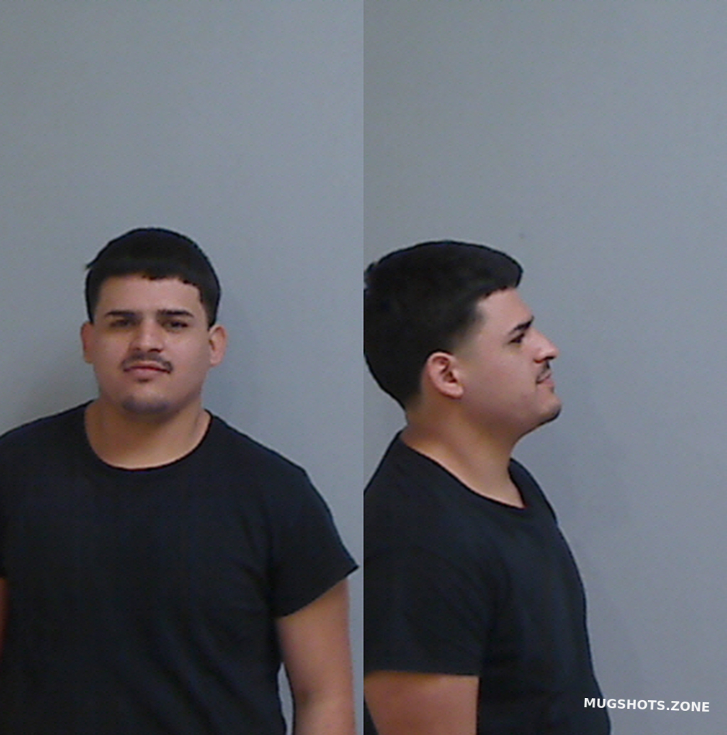 ESQUIVEL LUIS GUSTAVO 01/29/2025 - Hidalgo County Mugshots Zone