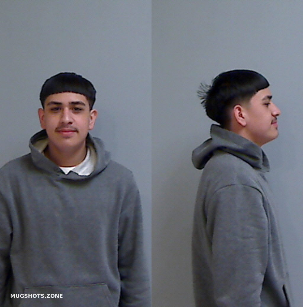 GOMEZ LOUIE ALEXANDER 02/03/2025 - Hidalgo County Mugshots Zone