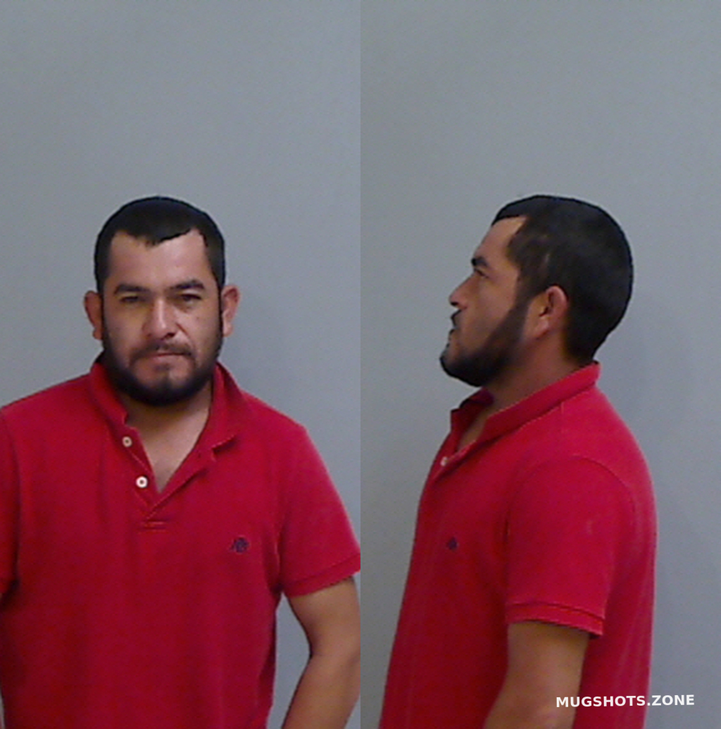 ARTEAGA EDWIN JOEL 02/10/2025 - Hidalgo County Mugshots Zone