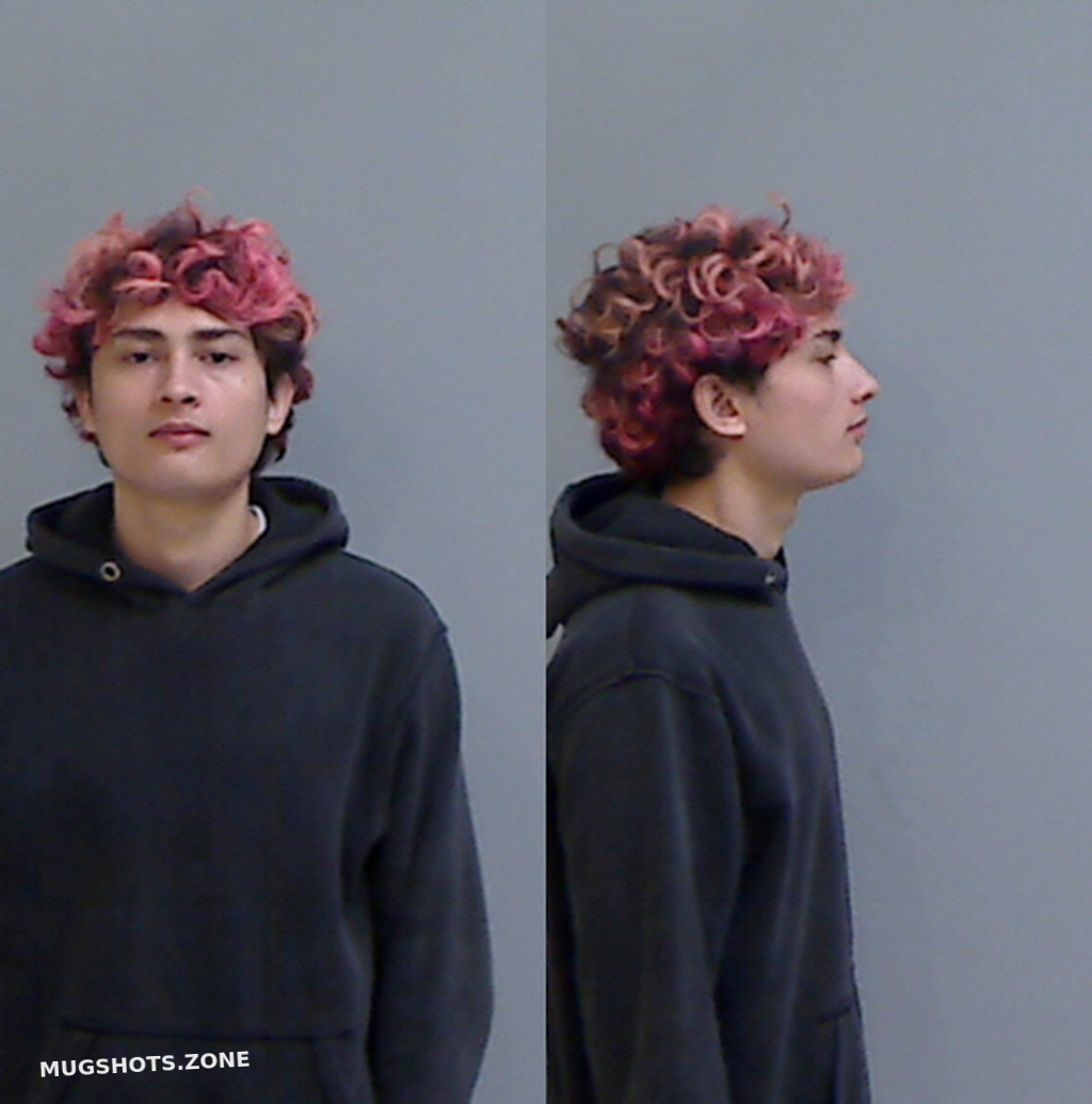 COLMENERO NICOLAS SEBASTIAN 02/11/2025 - Hidalgo County Mugshots Zone