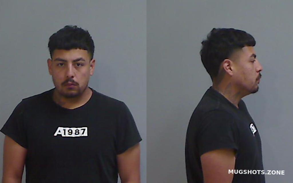 GAYTAN BRYAN 02/17/2025 - Hidalgo County Mugshots Zone